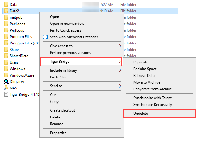 Continuous Data Protection with File Versioning